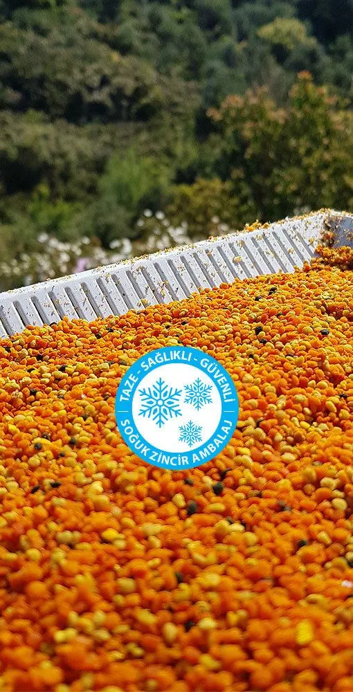 Parlayan, Işıldayan Cilt için Arı Poleni Faydaları, Nasıl Kullanılır ...