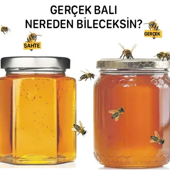 Sahte Bal ile Gerçek Ham Bal Arasındaki Fark Nedir? - Siristat Bal